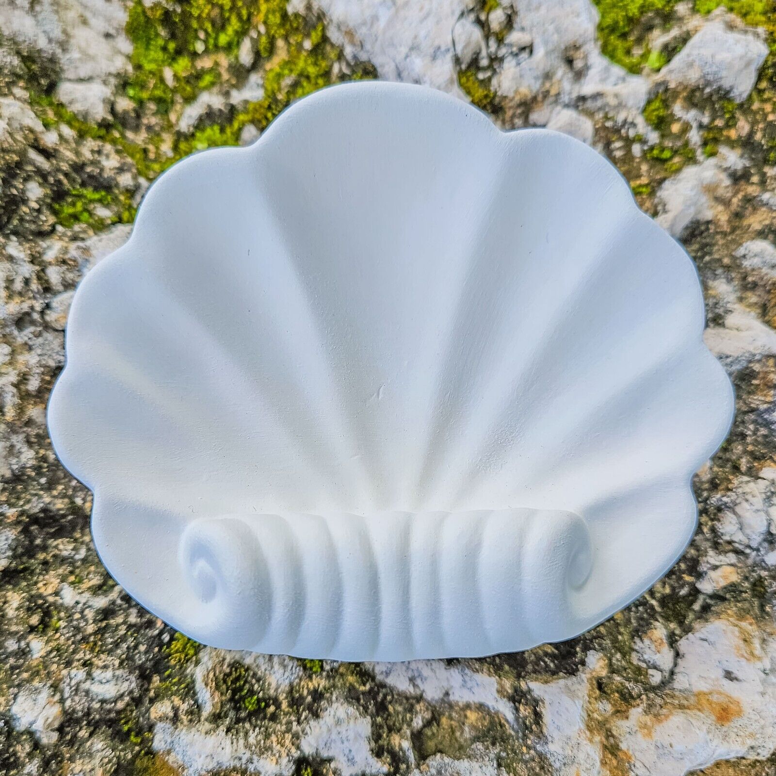 Seashell Soap Dish 4.3" Ceramic Bisque Ready To Paint Pottery– PotteryPie