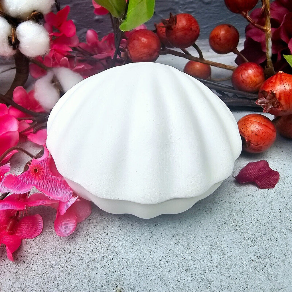 Seashell Box 4" Ceramic Bisque Ready To Paint Pottery– PotteryPie