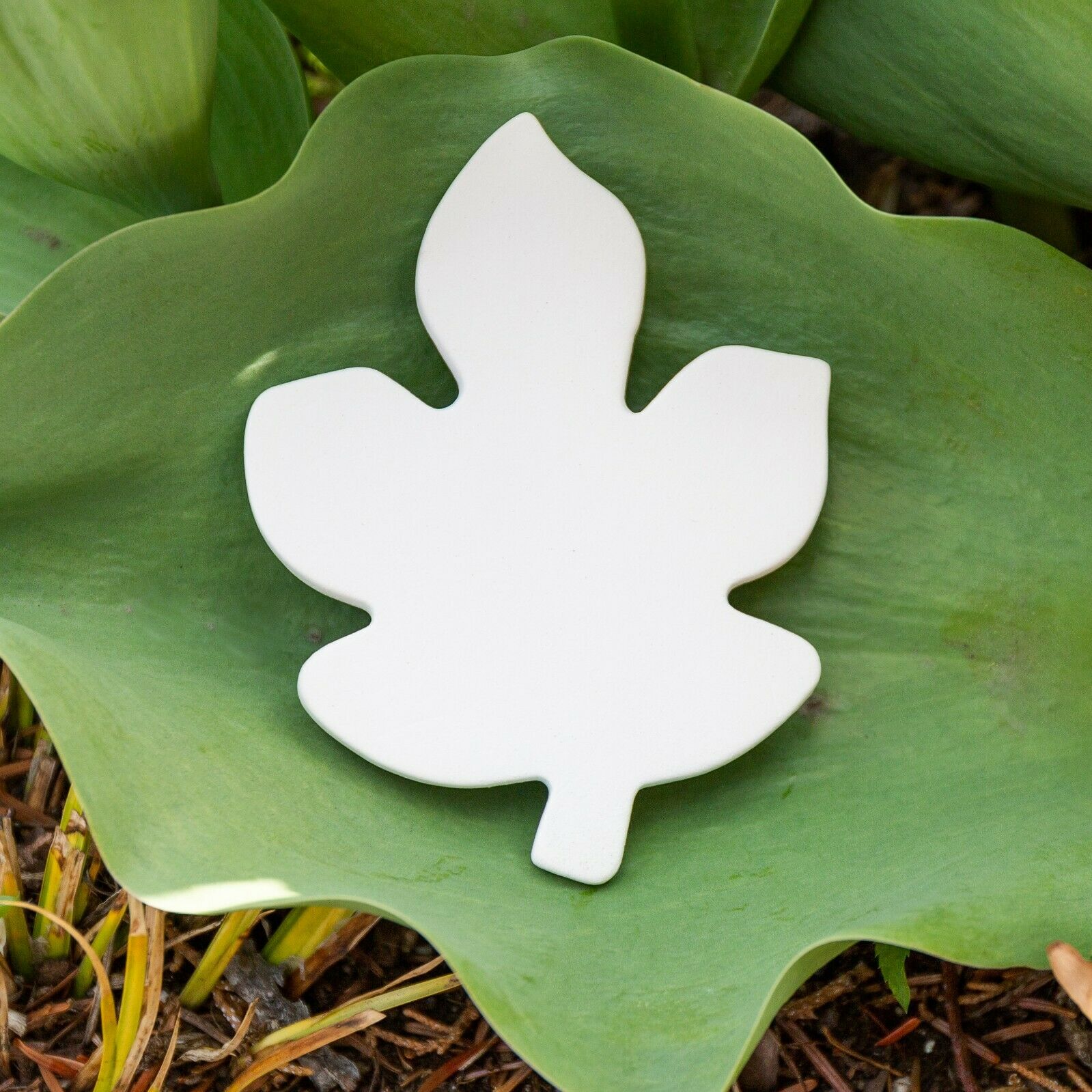 Flat Autumn Leaf Tile Ceramic Bisque Ready To Paint Pottery Leaves ...